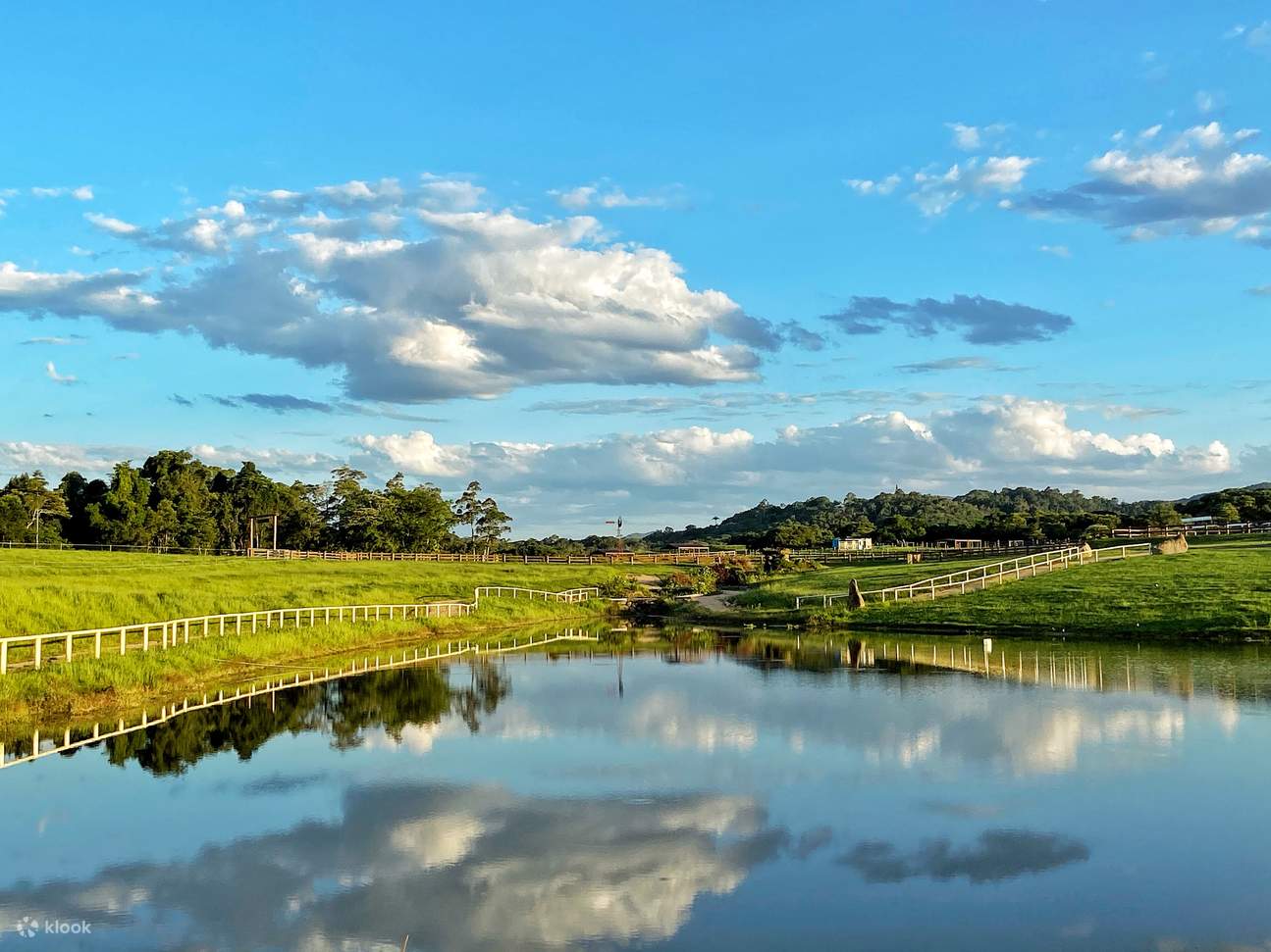Kur Cow Pasture Experience in Cairns, Australia - Klook