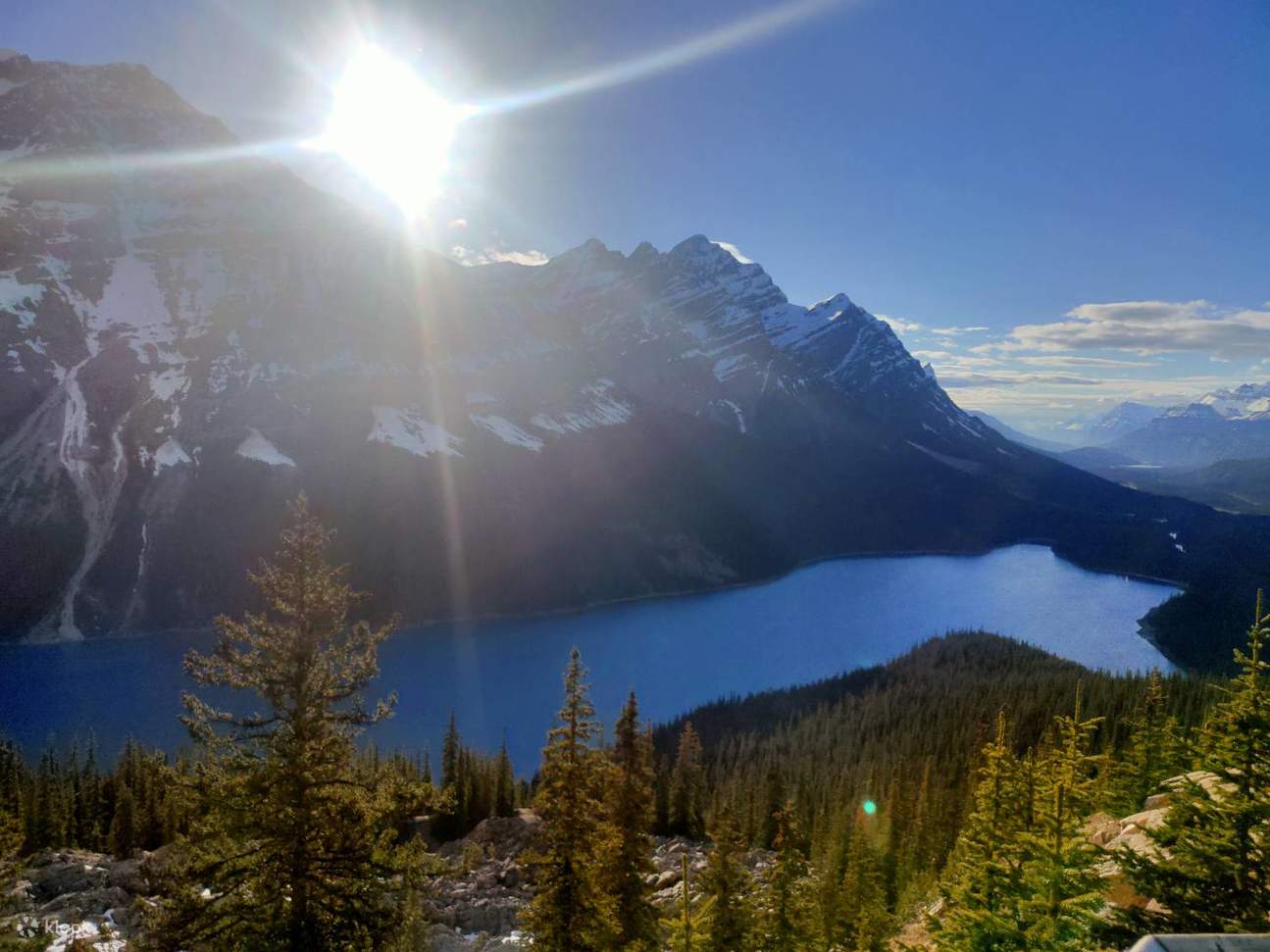 Columbia Icefield Adventure, Peyto Lake, Crowfoot Glacier, Bow lake - Klook
