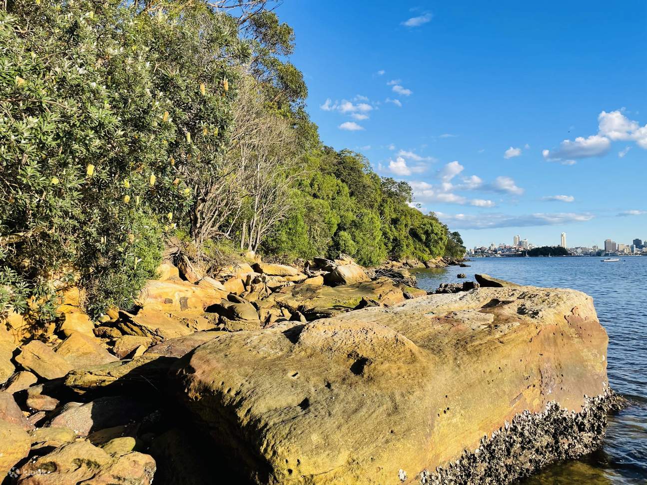 North Head Picturesque Walk in Mosman - Klook