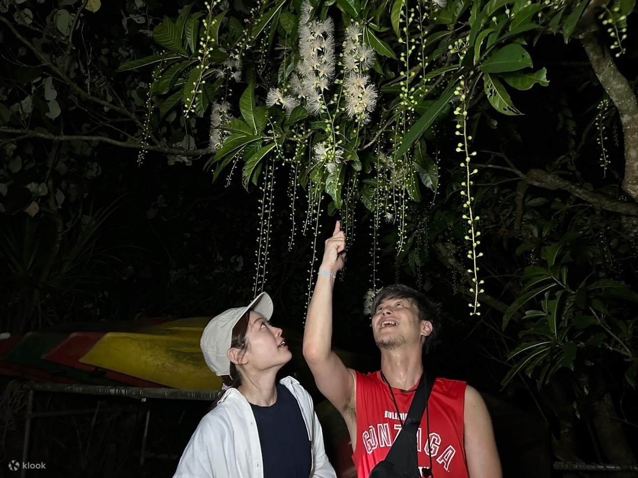 Barringtonia viewing tour (Iriomote Island, Okinawa) - Klook United States