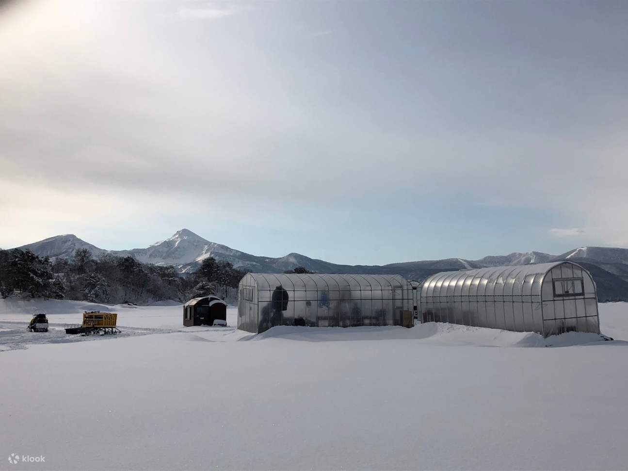 Lake Hibara Smelt Ice Fishing Experience in Fukushima, Japan - Klook ...