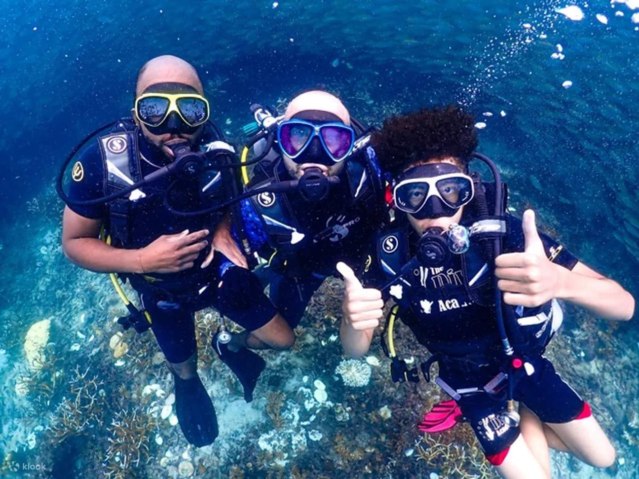 Uji Coba Scuba Di Koh Samui dengan Pusat PADI Bintang 5 - Klook Indonesia