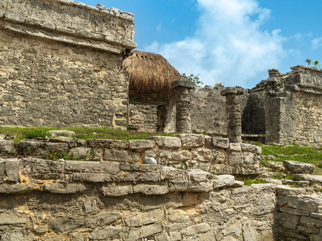 Full Day Tulum Ruins Tour Cenote and Swimming with Sea Turtles - Klook