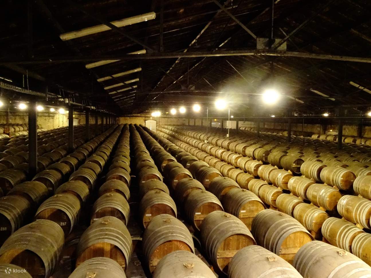 Cognac Distillery and Bordeaux Winery Private Tour from Cognac, France ...