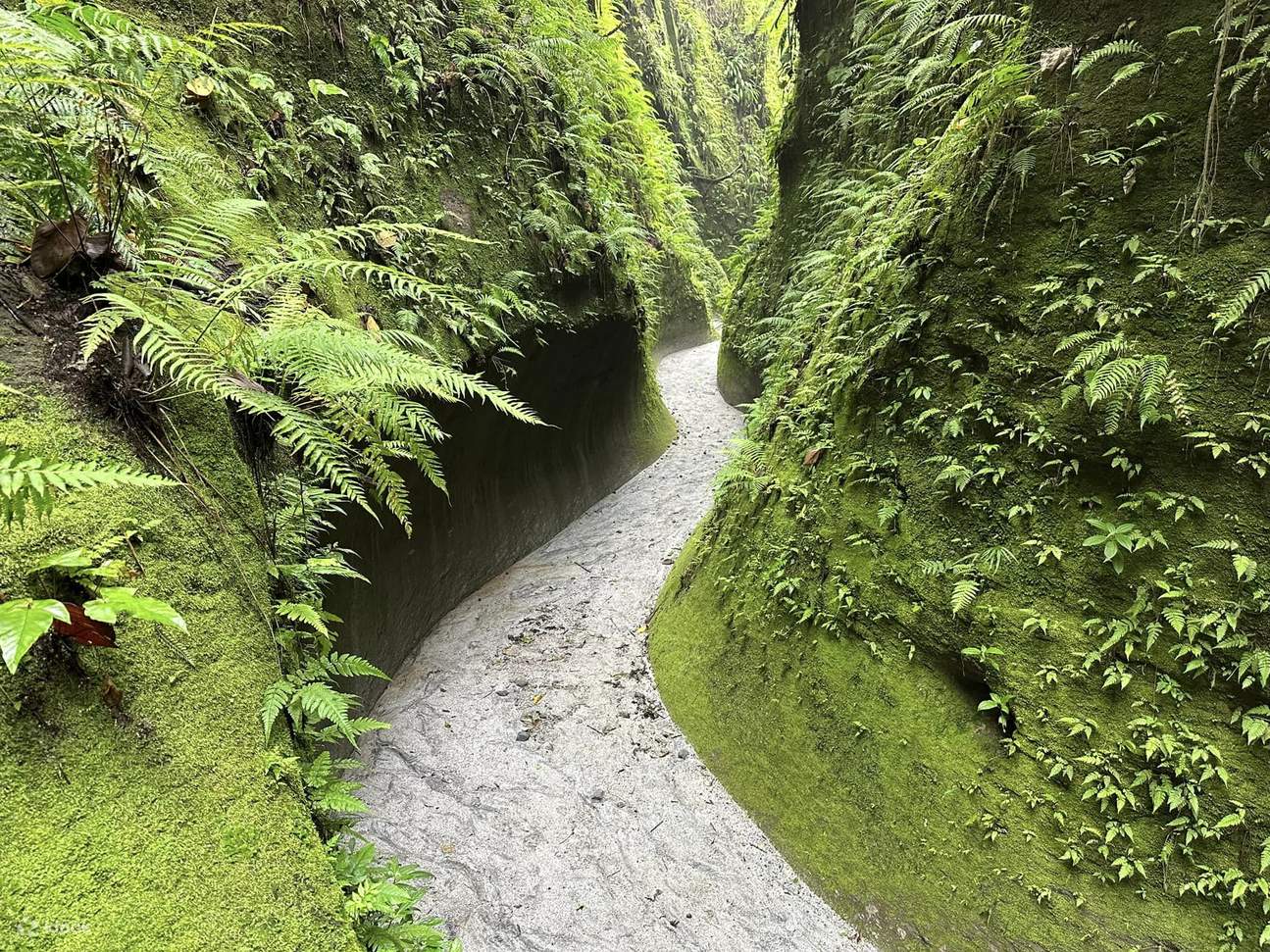 Inararo EcoTour from Manila and Clark - Klook Philippines