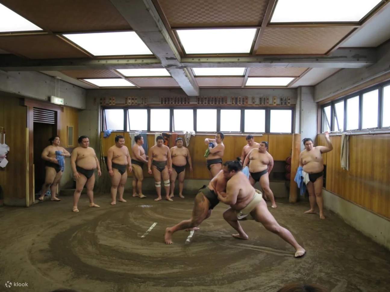 Tokyo City, Sumo Morning Practice Watching Tour with Sumo Lunch - Klook