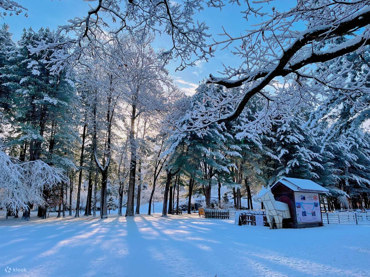 Eobi Ice with Snow Sledding & Strawberry Picking Day Tour from Seoul ...
