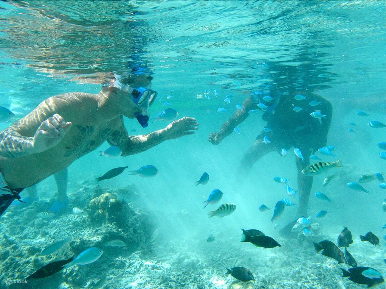 Kayaking, Paddle Boarding and Snorkeling in Saipan - Klook United States