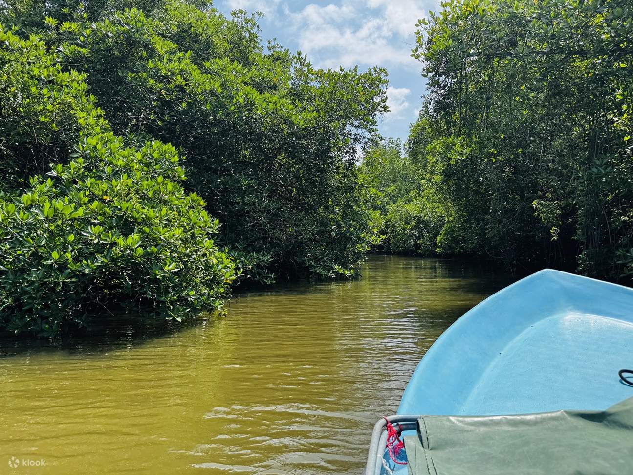 Madu River Private Boat Cruise Safari - Klook India