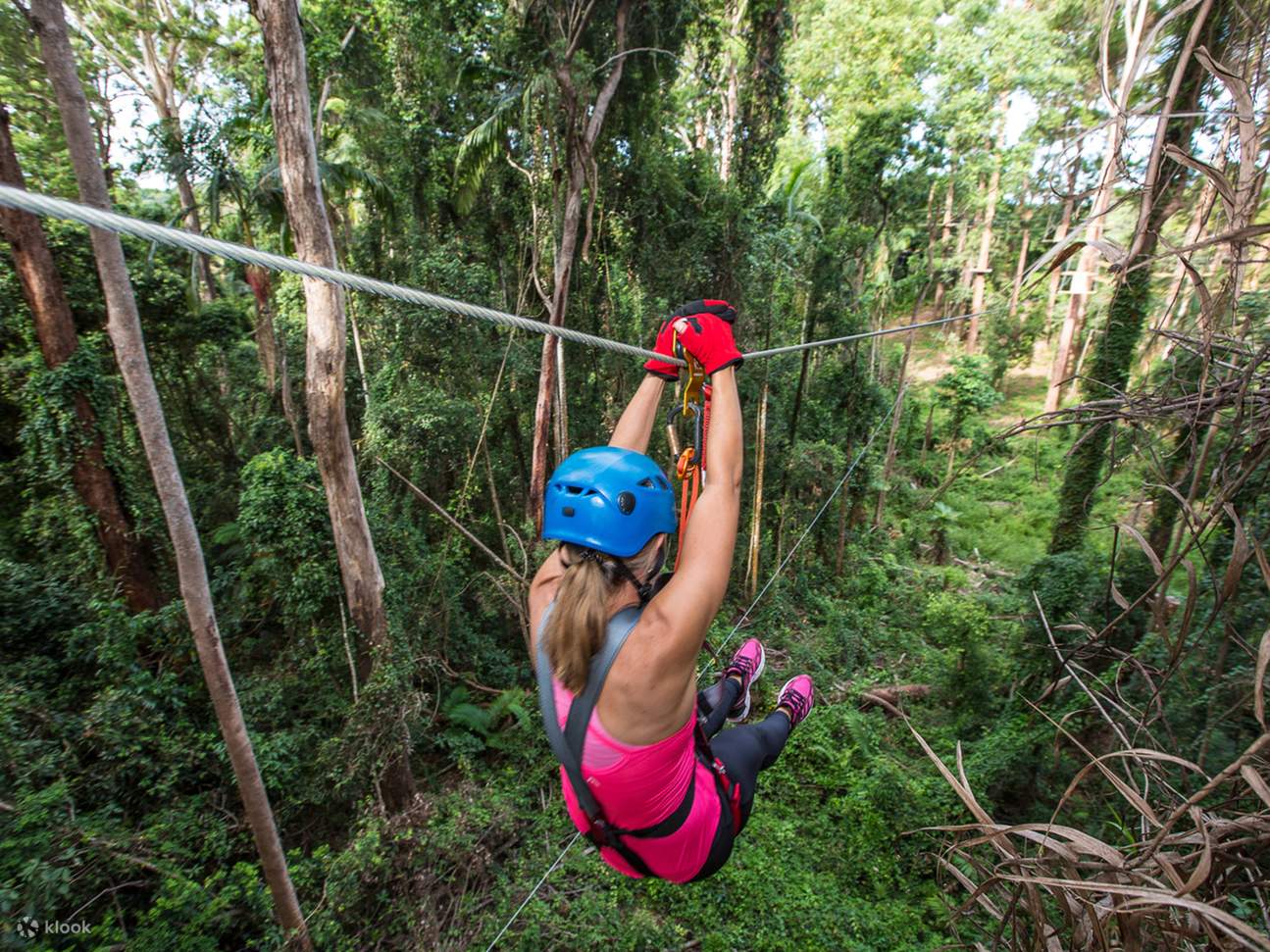 TreeTop Challenge at Adventure Park - 클룩 KLOOK 한국