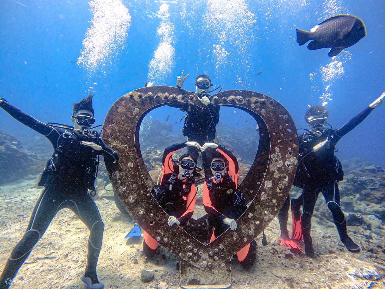 Green Island Bay Diving One-to-One Diving Experience・3 Days 2 Nights ...