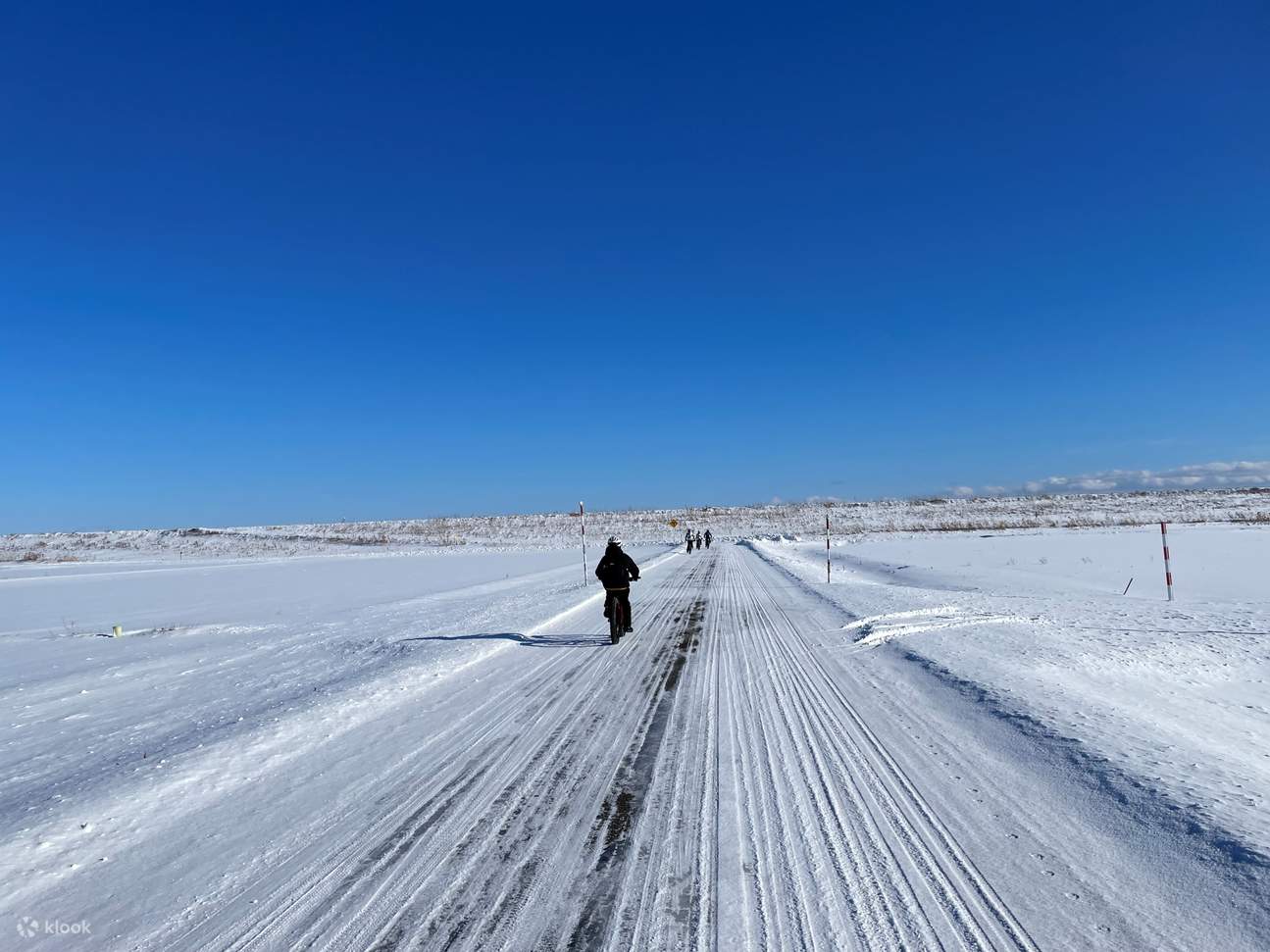 Private snow cycling tour with FAT BIKE (Hokkaido) - Klook Singapore
