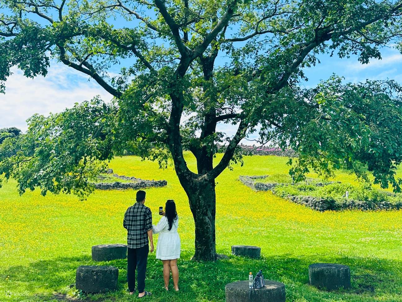 Tur Satu Hari Asli Jeju Selatan & Barat - Klook Indonesia