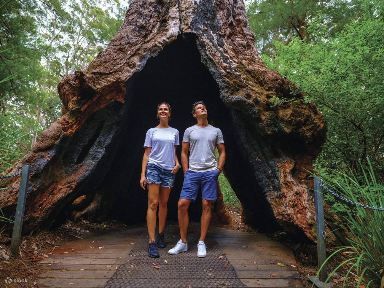 4 Day Albany, ANZAC Tree Top Walk & Margaret River Tour - Klook