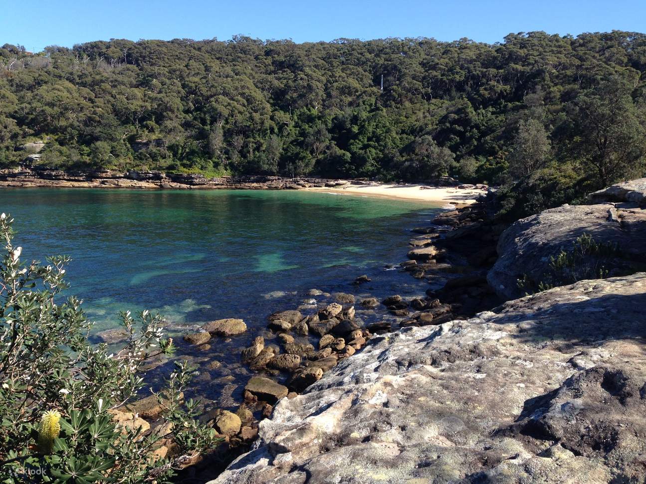 Middle Head Battery Walk in Mosman - Klook