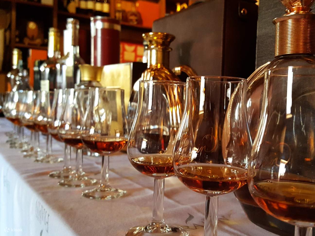 Cognac Distillery and Bordeaux Winery Private Tour from Cognac, France ...