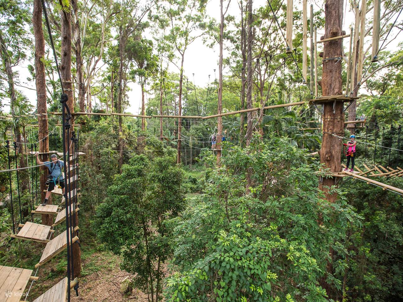 TreeTop Challenge at Adventure Park - Klook
