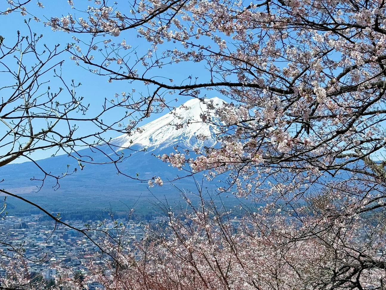 Sengen Park, Hikawa Watch Shop, Oshino Hakkai, and Lake Kawaguchi Day ...