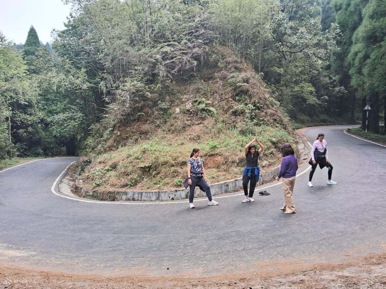 Exploring Fauna & Flora: Guided Trek in Shimla's Wildlife Sanctuary ...