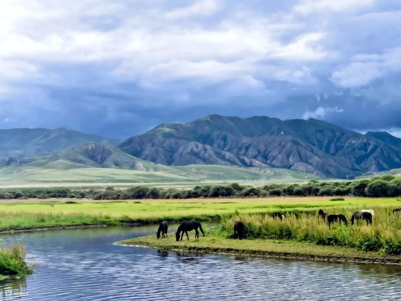 5 days in the secret land of Gannan (Amigonghong, a luxury grassland ...