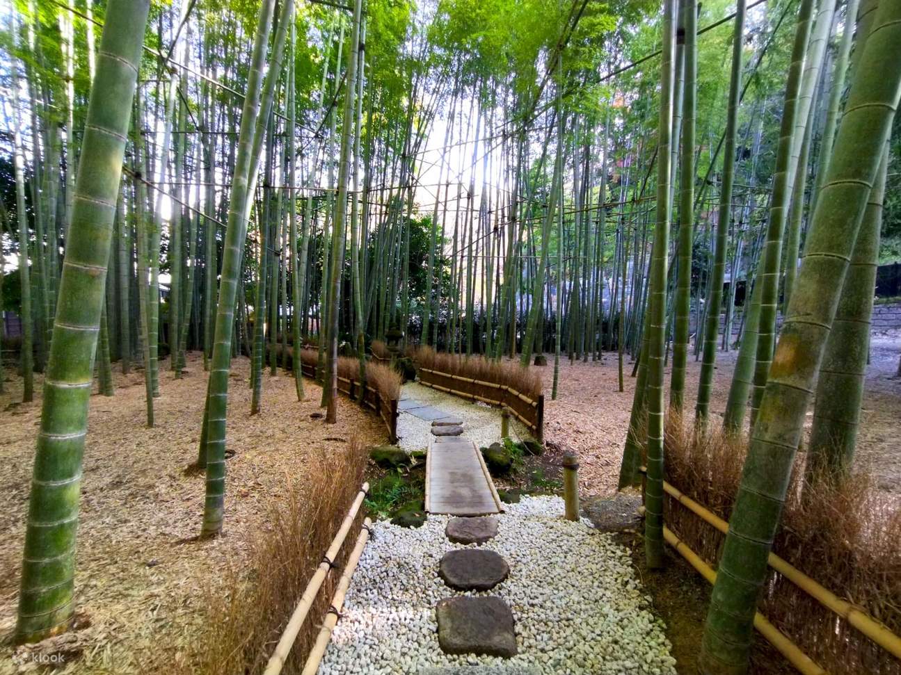 1-Day Kamakura and Enoshima Tour: Shrines, Seaside, Temples and Tea ...