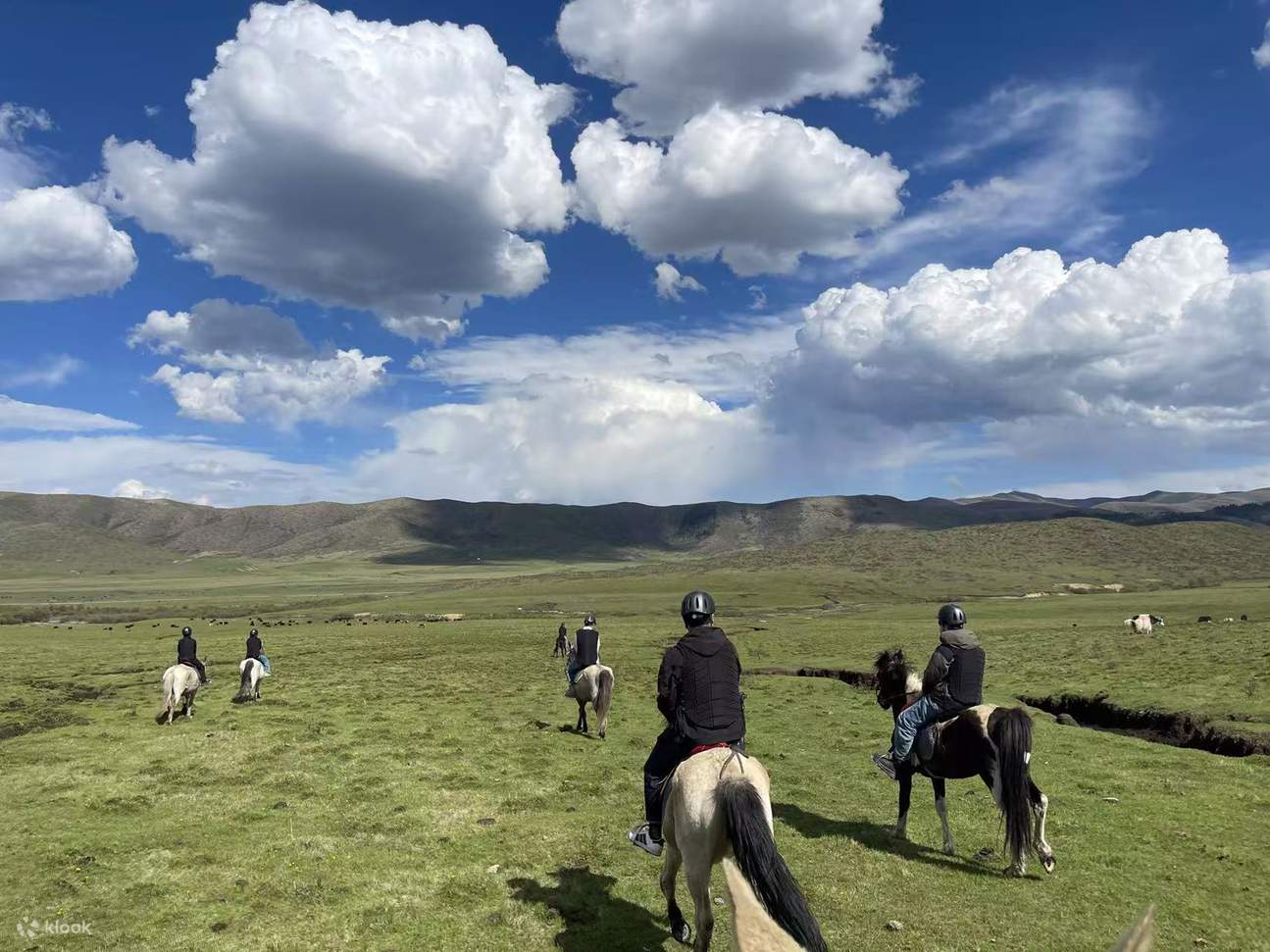 Gannan Nomadic Wild Luxury 6 Days and 5 Nights Exploration Tour (Stay ...