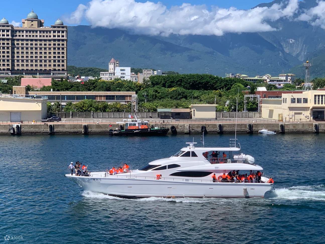 Whale Watching in Hualien with Venus Yacht - Klook United States