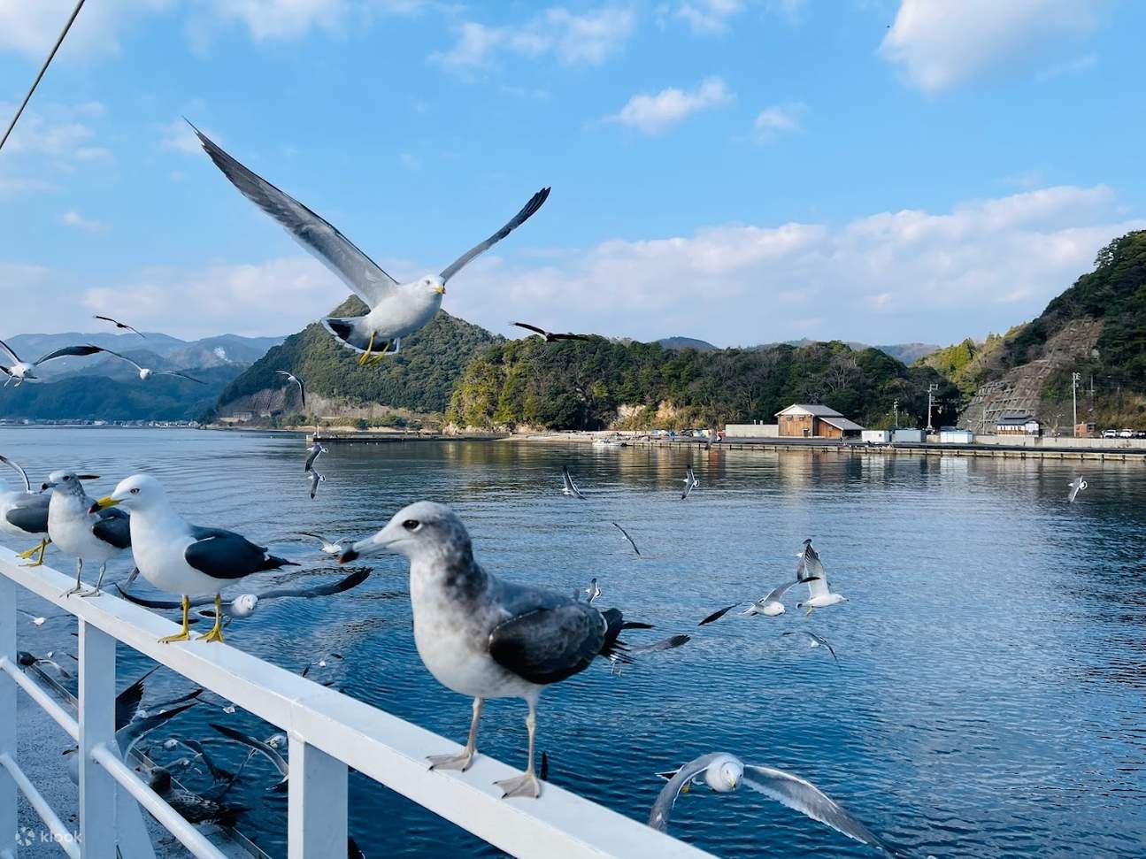 Japan's Three Most Scenic Spots: Amanohashidate, Ine Funaya, and Ine ...