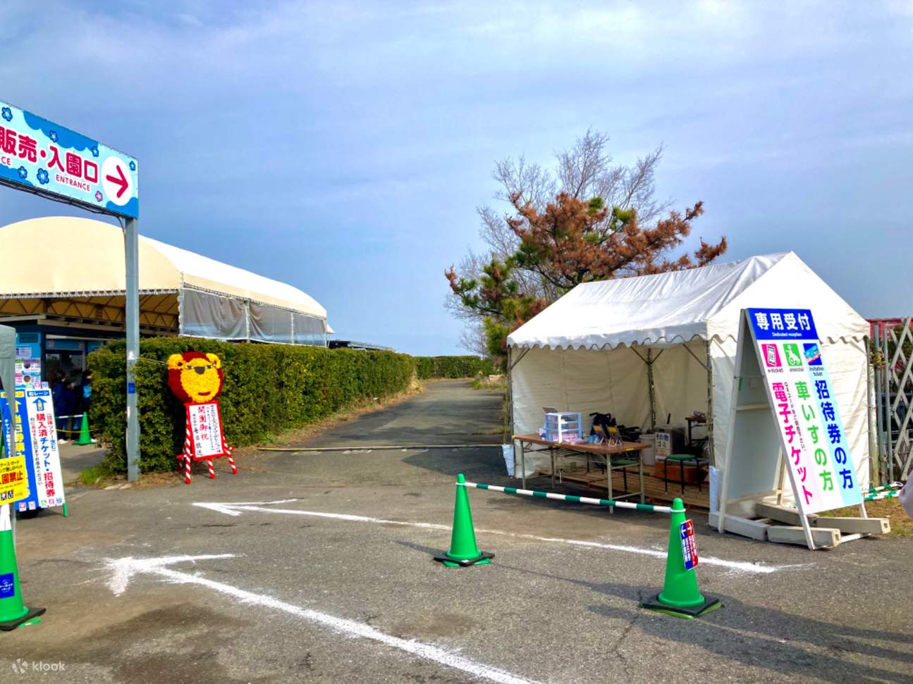 Osaka Maishima Seaside Park “Nemophila Festival” Ticket - Klook