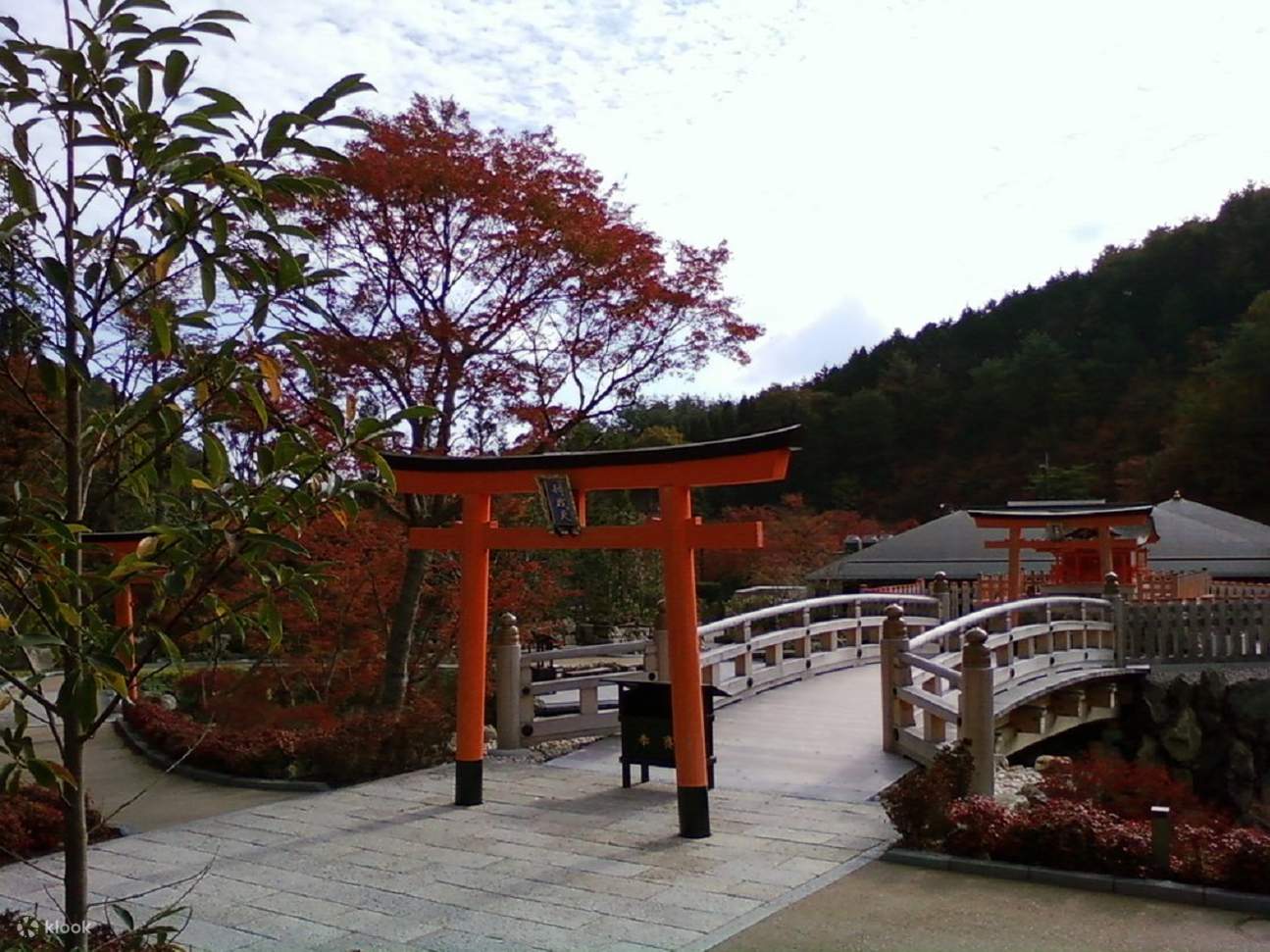 Minoh Katsuoji Temple Walking Tour with Local Guide (4 Hours) - Klook