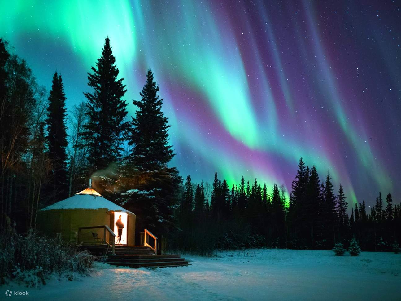 Fairbanks Aurora-Viewing Tour in Alaska - Klook Singapore