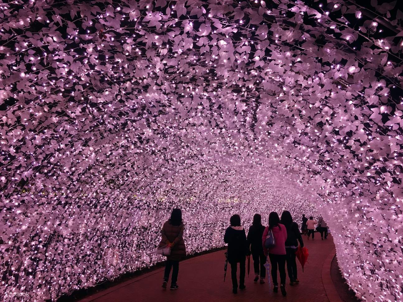 Nabana no Sato Illumination Ticket with Transfers from Osaka, Japan - Klook
