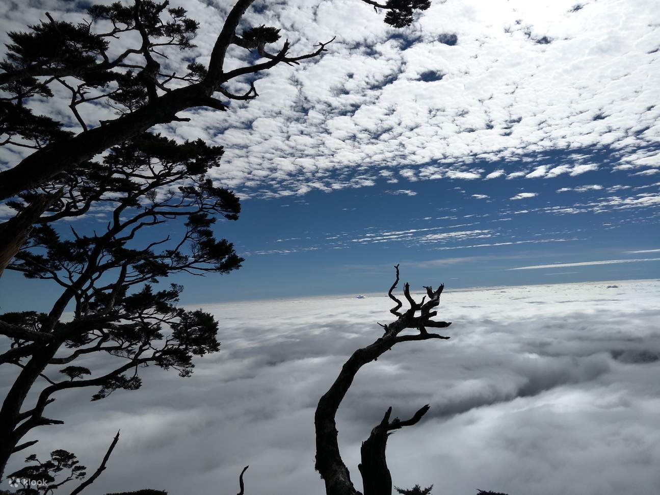[Exploring the Hometown of Sea Clouds] 3-Day 3-Night Mountain Climbing ...