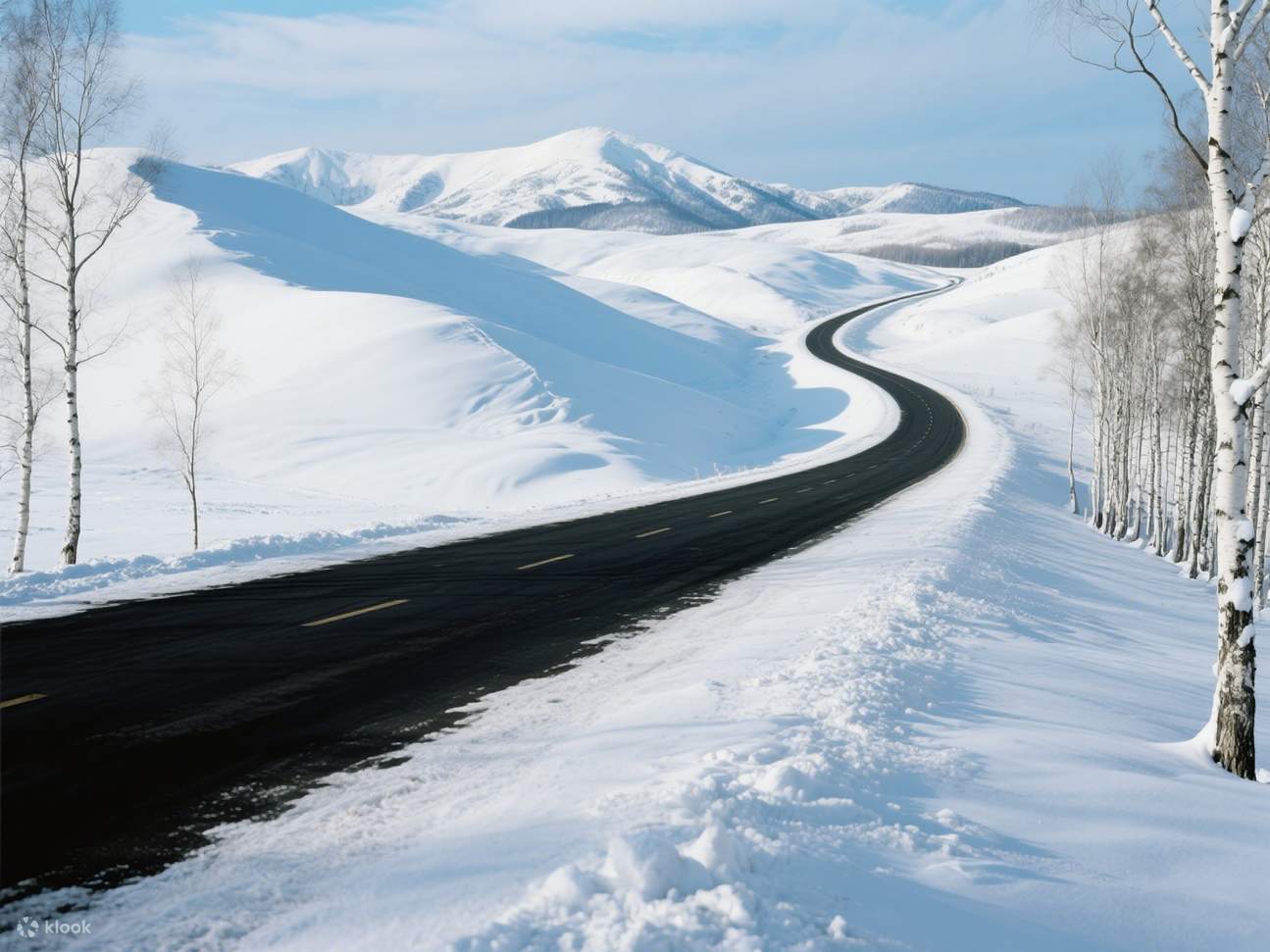 3-Day Winter Tour to Northeast China's Harbin Snow Town (Ice and Snow ...