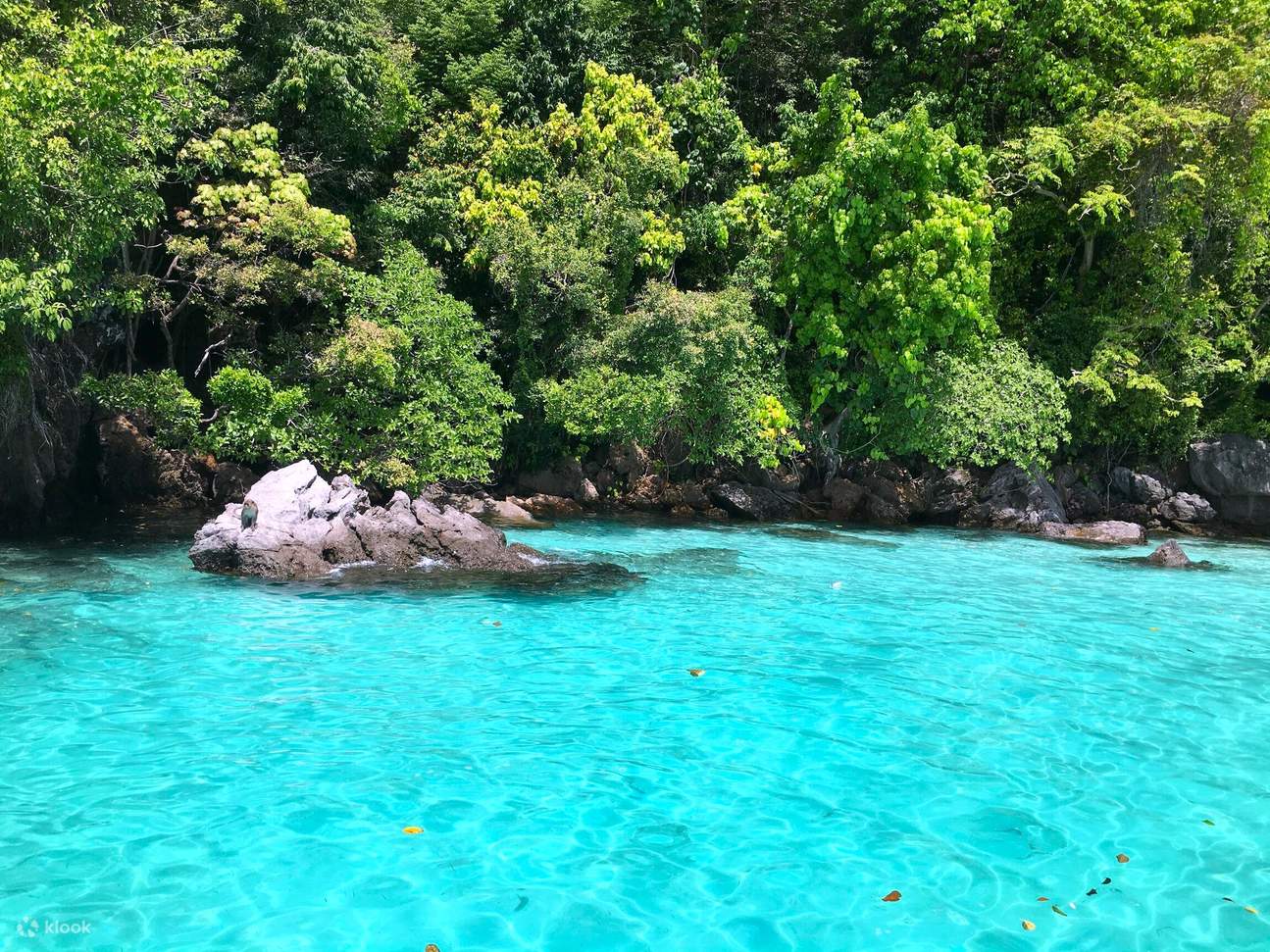 Phuket: Phi Phi Highlights And Private Beach Escape - Full Day Tour - Klook