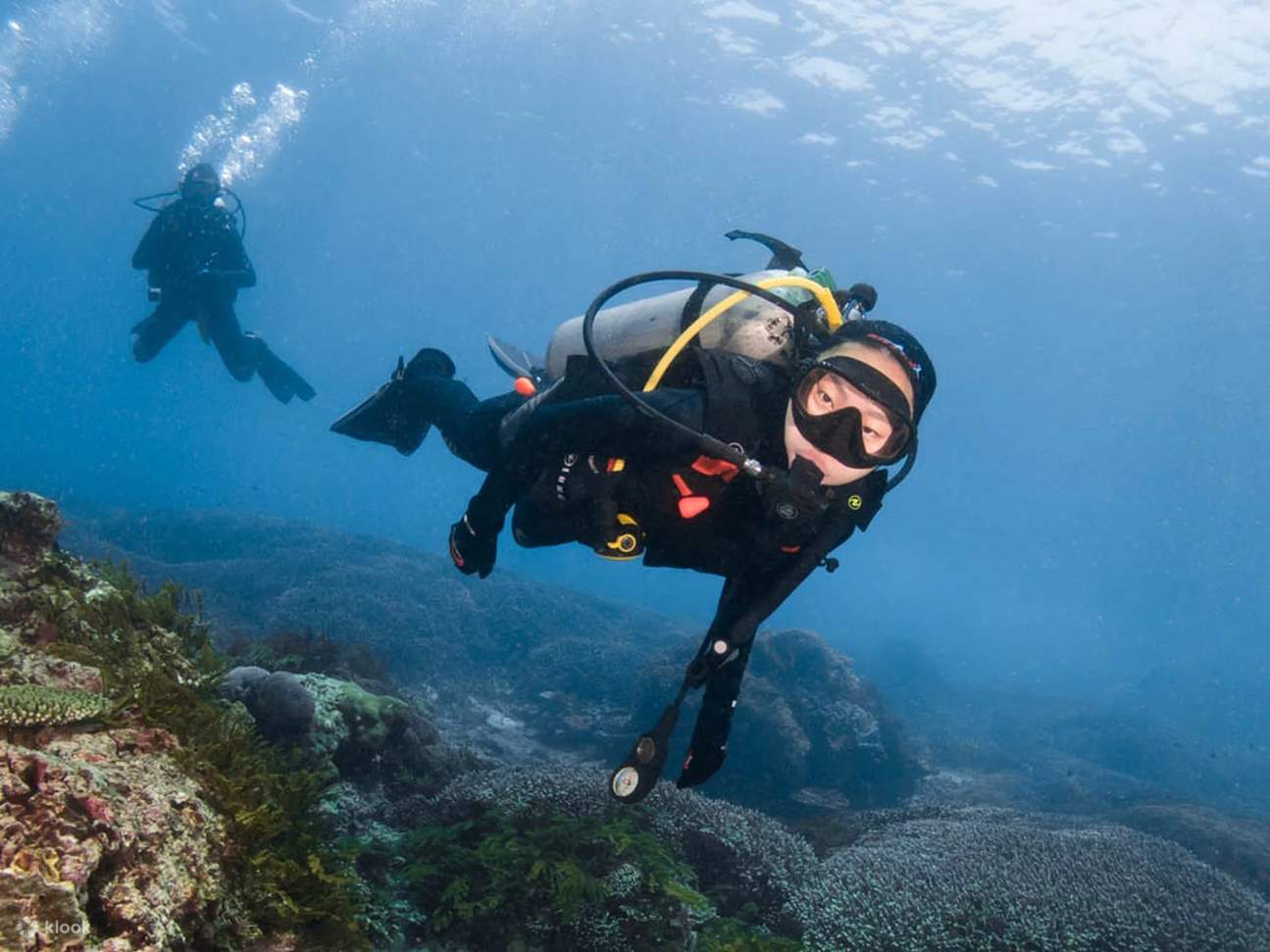 Experience an Exciting Full-Day Fun Dive in Menjangan with Our PADI ...