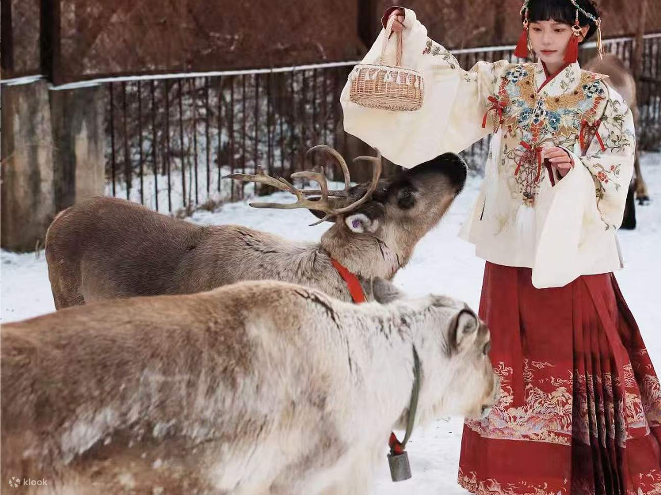 Harbin Snow Town & Snow and Ice Gallery Day Trip - Klook New Zealand