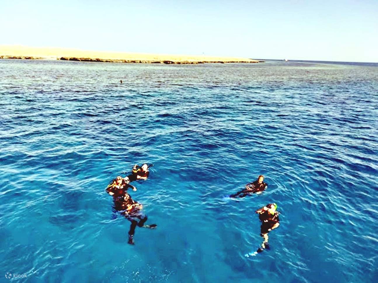 Ultimate Red Sea Adventure: Dolphin Watching, Snorkeling & Lunch ...