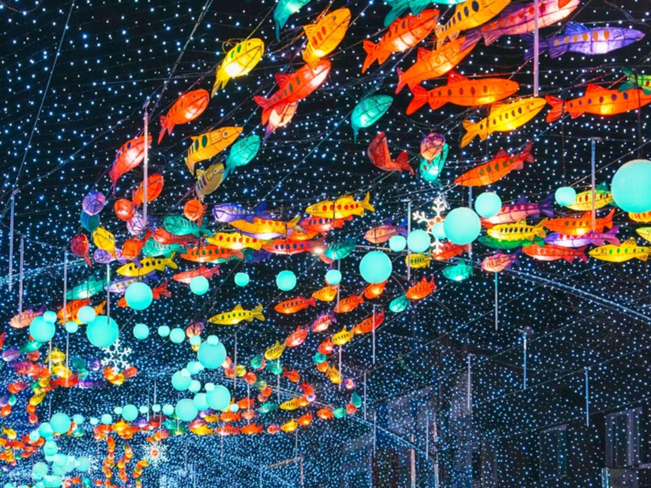 Seoul Car Rental with Driver to Hwacheon Sancheoneo Festival Ice ...