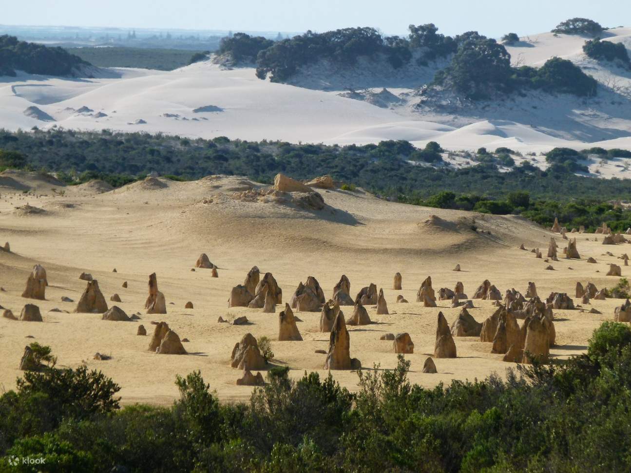 Pinnacle Desert Explorer with Lancelin Sandboarding Full Day Tour - Klook