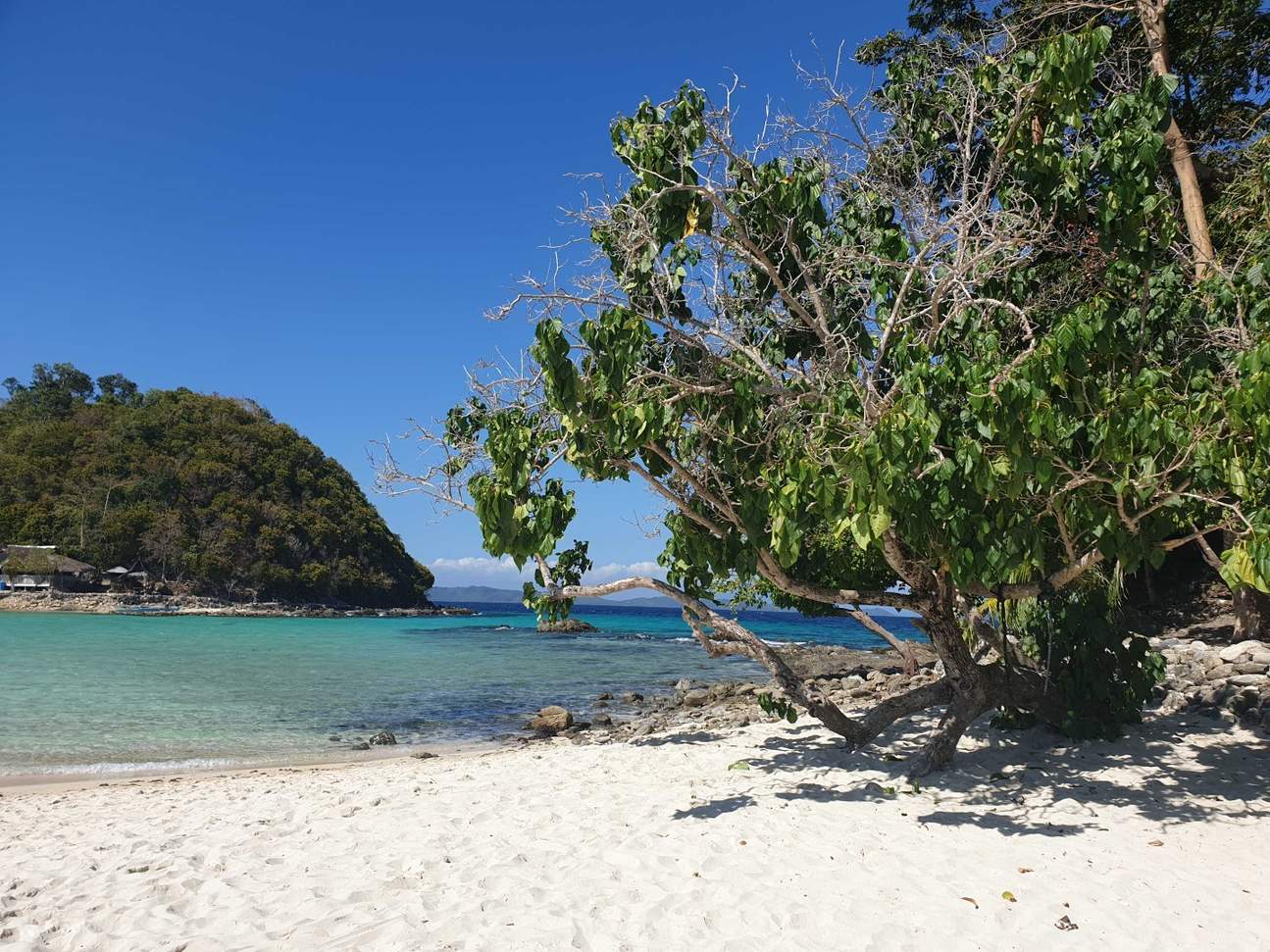 Recorrido de isla en isla por Port Barton - Klook Estados Unidos
