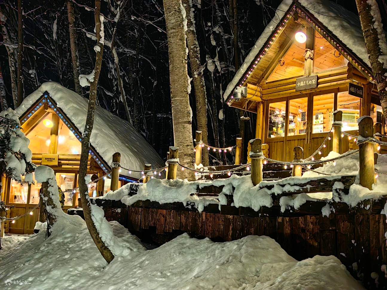 One-day tour of Hokkaido's popular attractions (Asahikawa Zoo ...