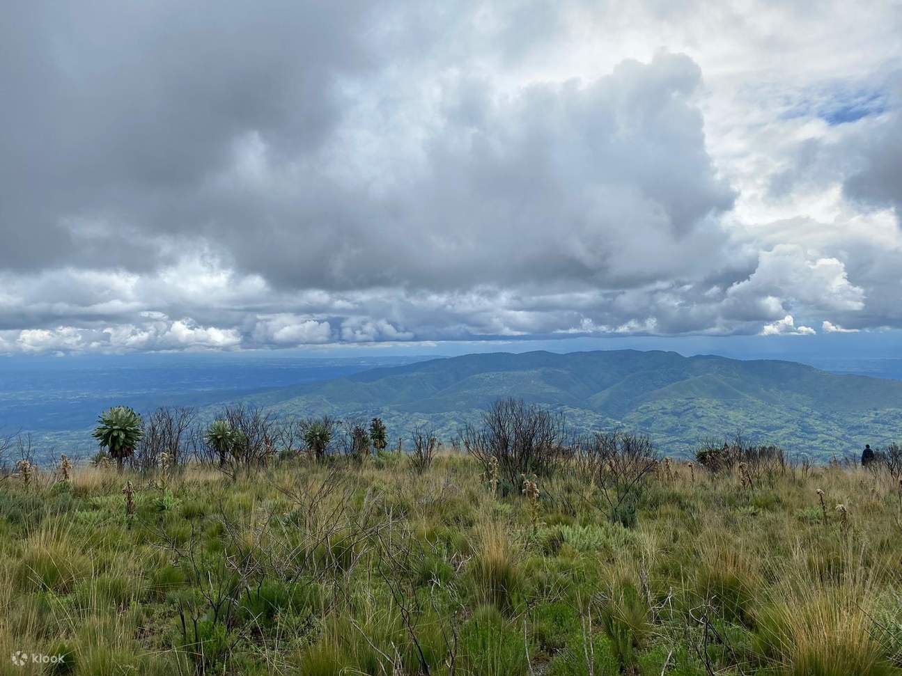 Discover Nature's Magic: One-Day Hike to the Enchanting Seven Ponds of ...