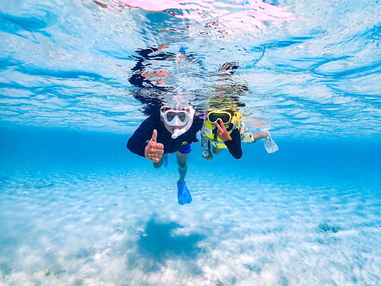 Miyako Island | Outstanding transparency! Snorkeling with sea turtles ...