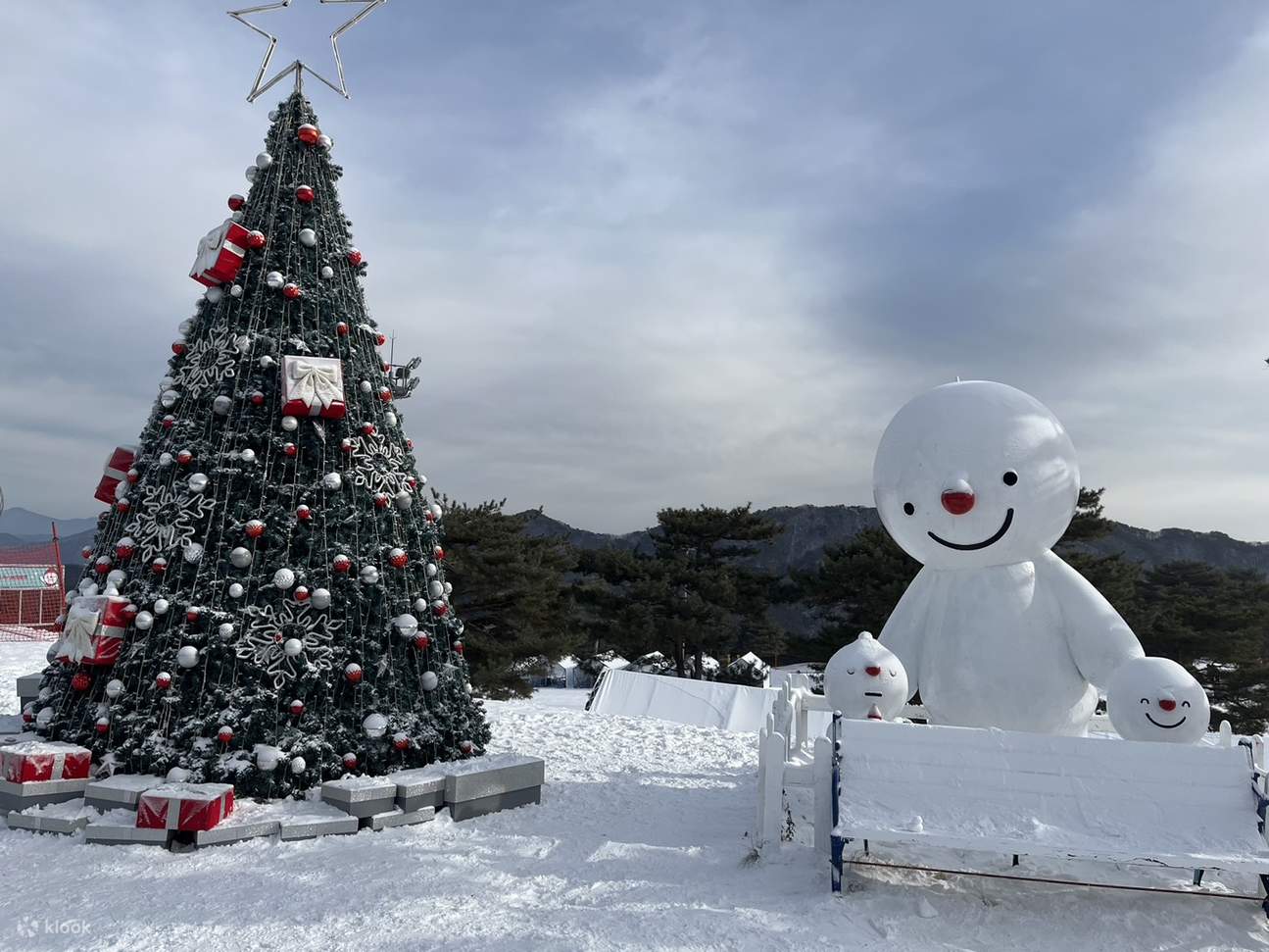 Hongcheon Daemyung Vivaldi Park 2 Days Tour from Seoul - Klook