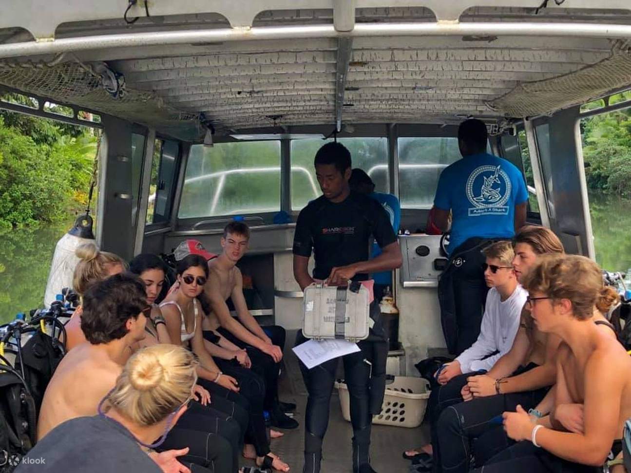 Adopsi Hiu di Reef Marine Reserve dengan PADI 5 Star Dive Resort ...