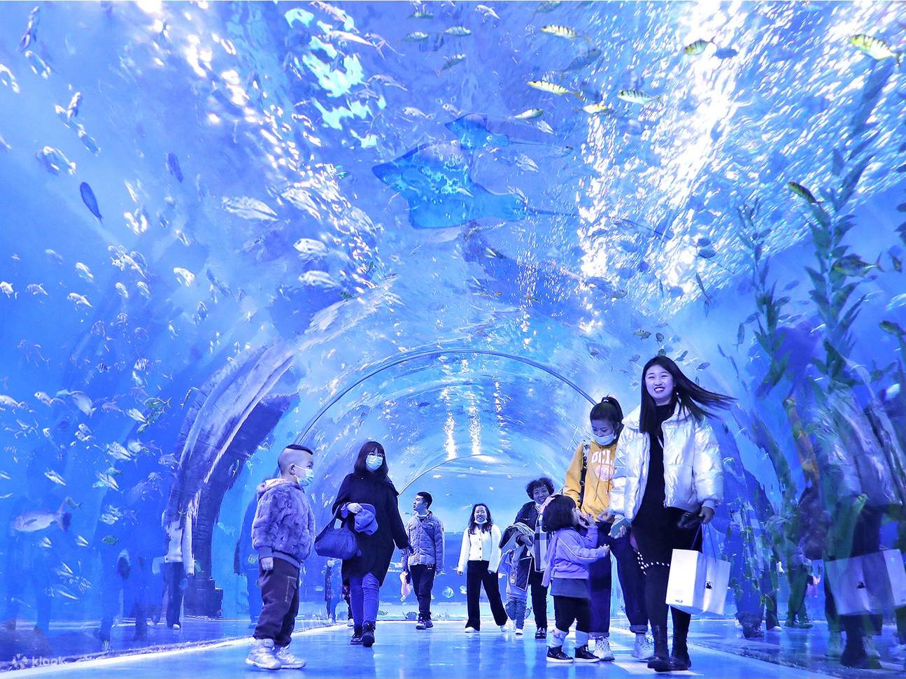 Poseidon Underwater World - Klook Estados Unidos