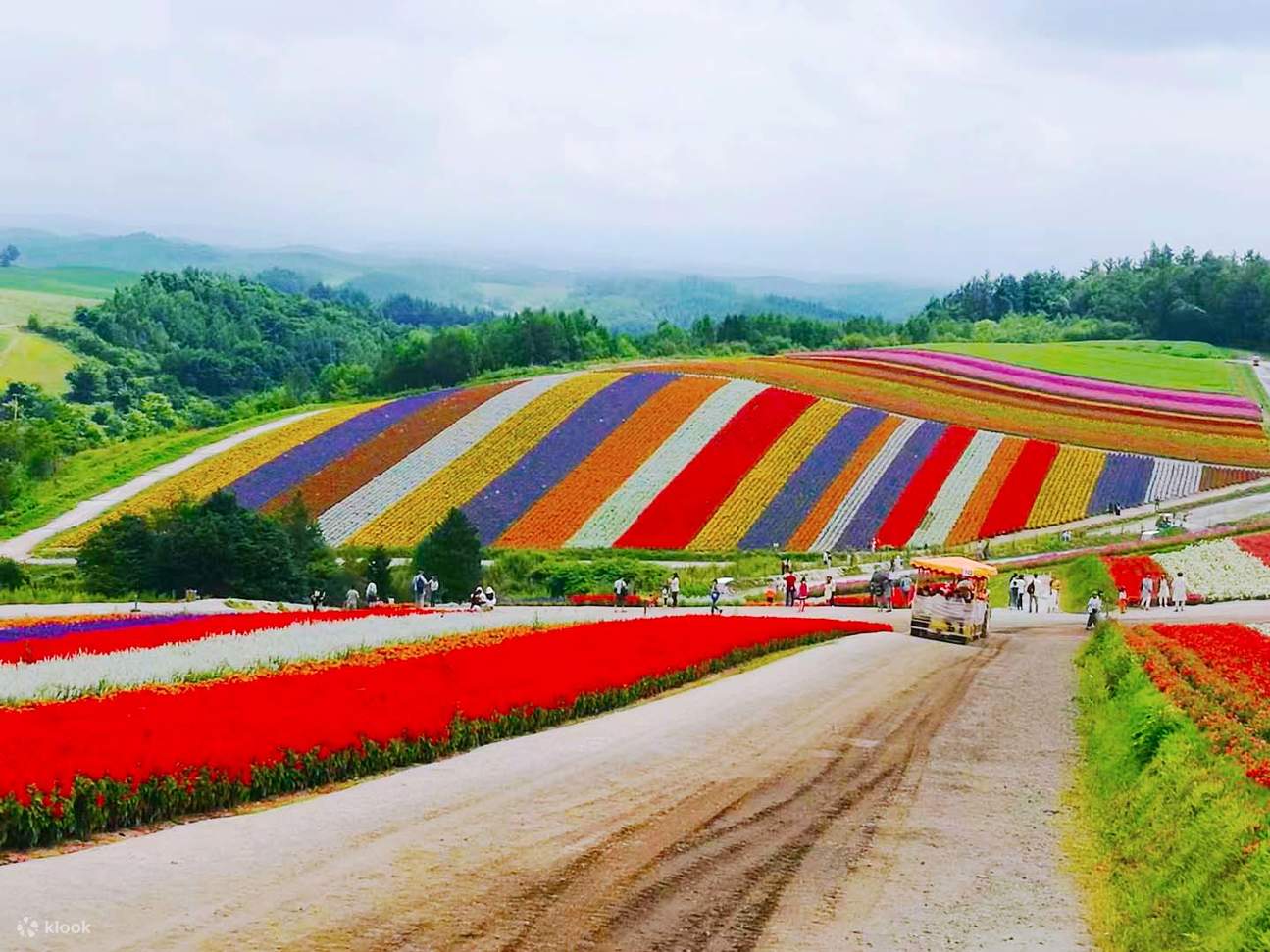 Hokkaido Asahikawa Zoo, Shikisai no oka snow park, and Ningle Terrace ...