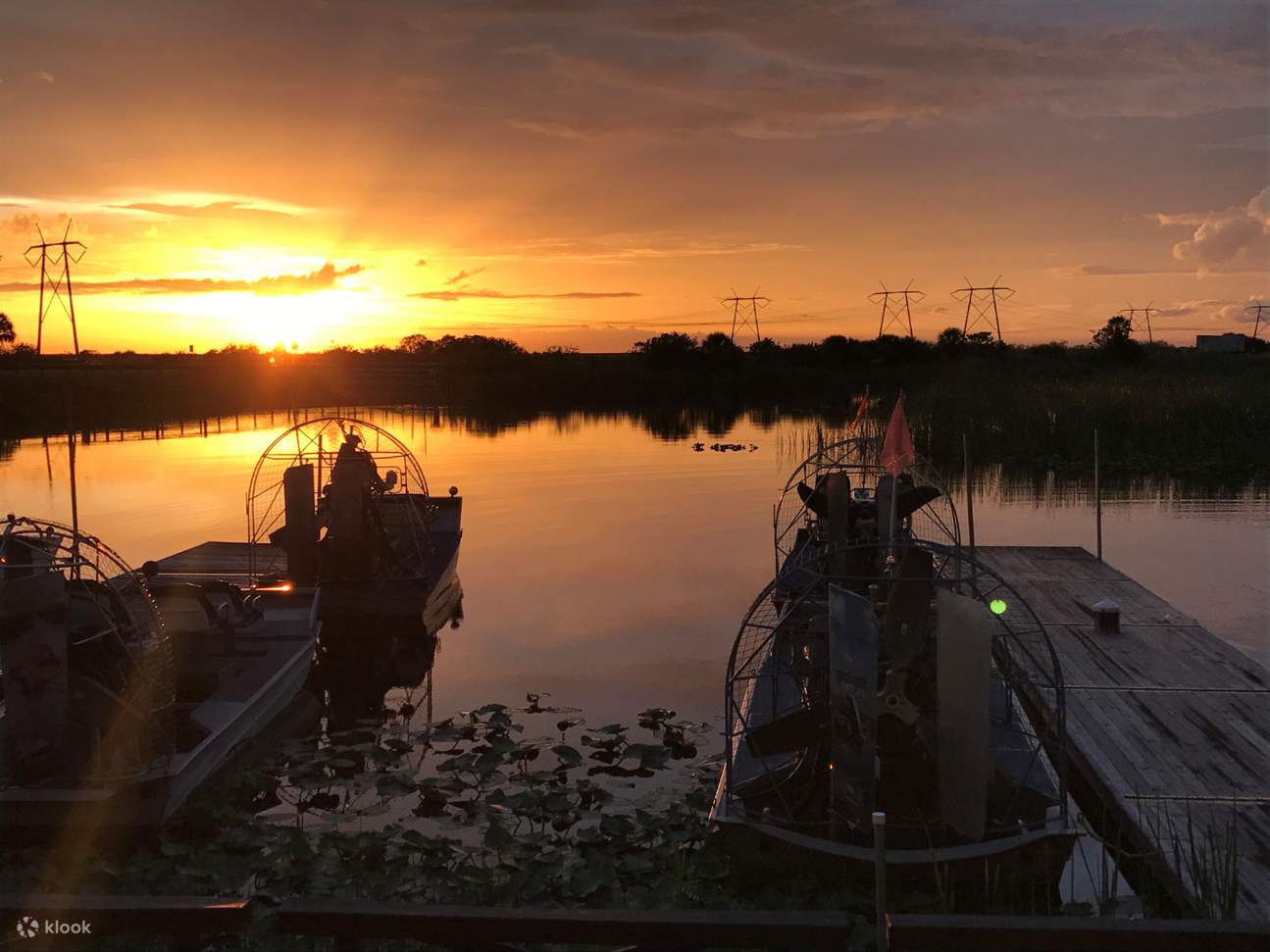 Gator Nights Everglades Nighttime Airboat Adventure in Fort Lauderdale ...