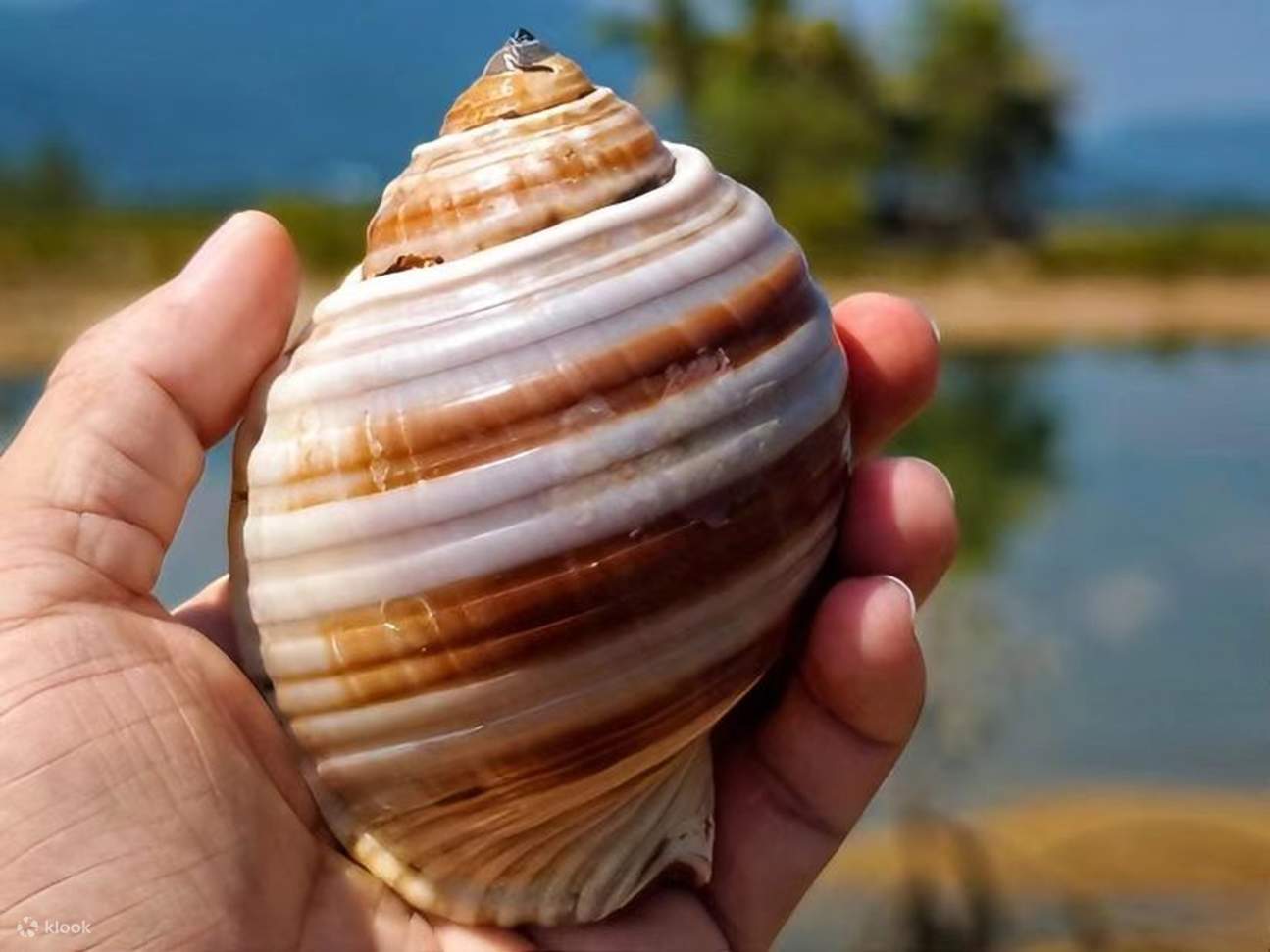 Sanya beachcombing experience (harvest can be taken away + instructor ...